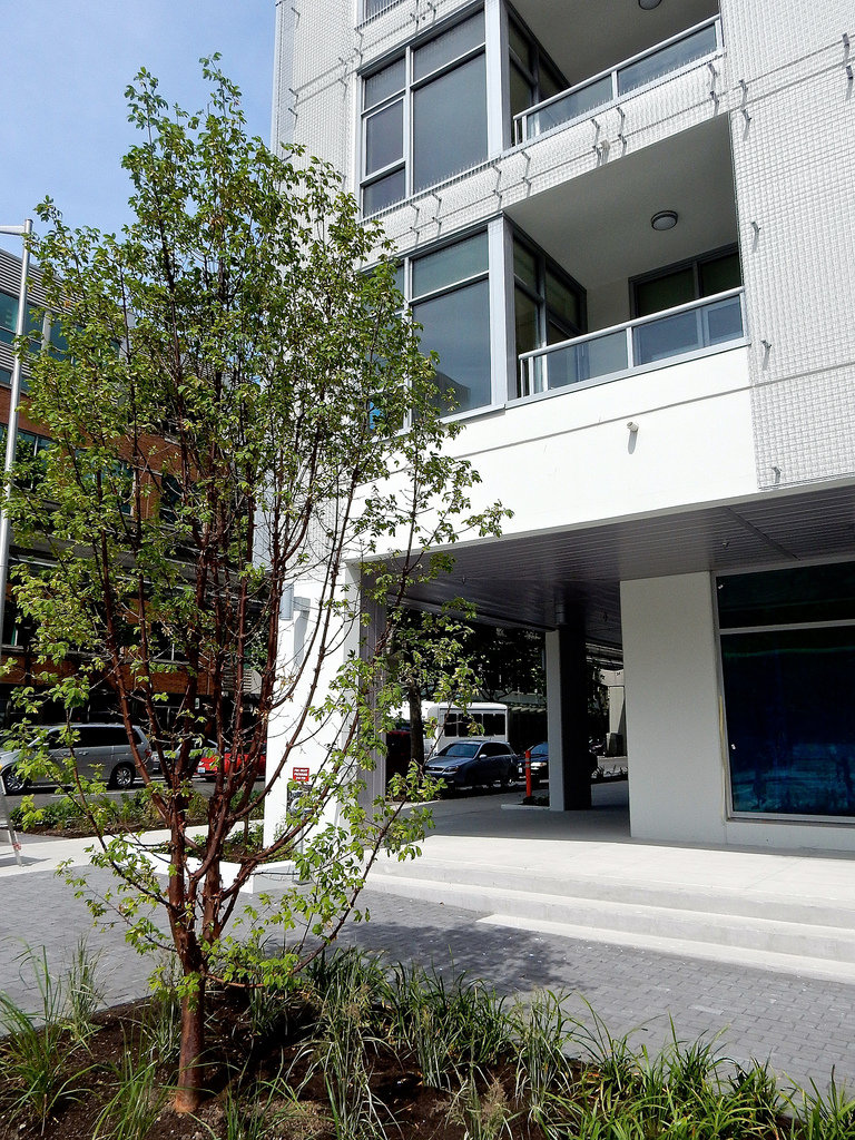Insignia Towers Condo – Seattle, WA